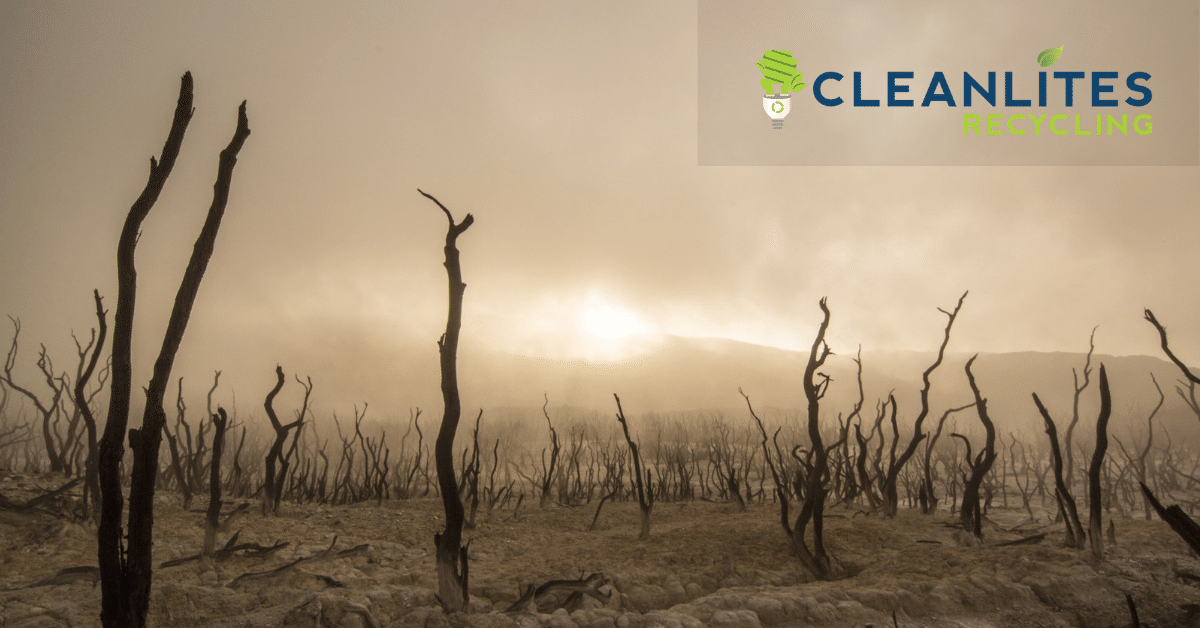 Wasted: The Effects of E-Waste on the Environment - Cleanlites Recycling